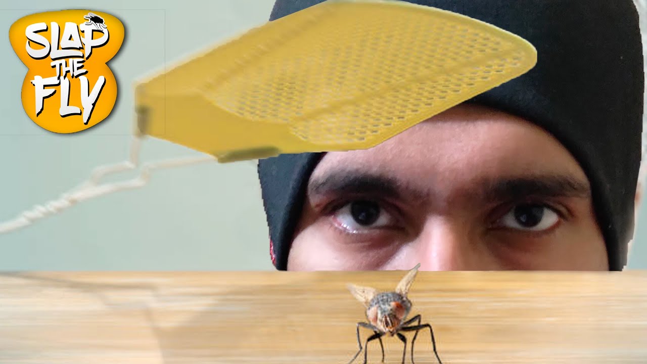 I BECAME A FLY AND EVERYONE WANTS ME DEAD | SLAP THE FLY HINDI GAMEPLAY ...