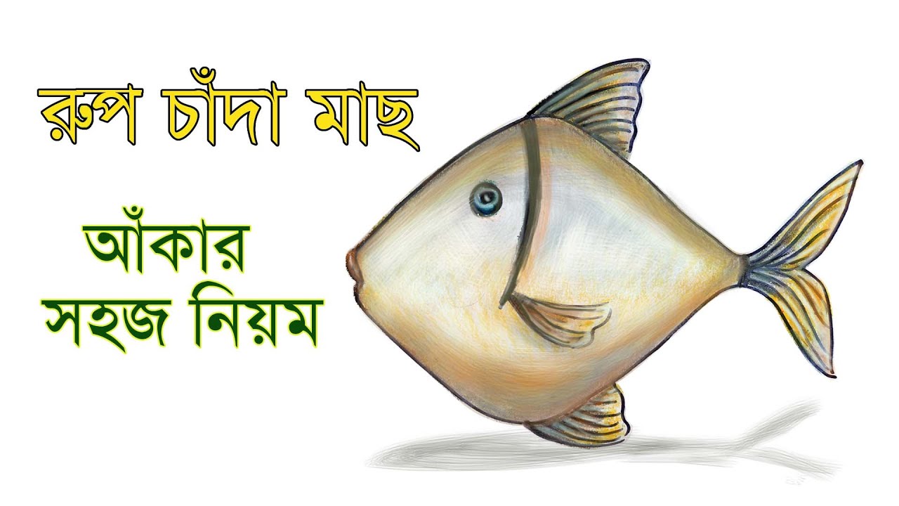 রূপ চাঁদা মাছ আঁকার সহজ নিয়ম | How to Draw Rupchanda fish Step by Step ...