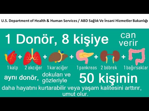 Organ Bağışında Belçika Modeli