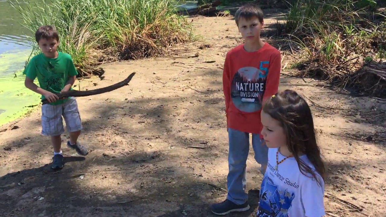 New Beach at Myrick Park Marsh in La Crosse - YouTube