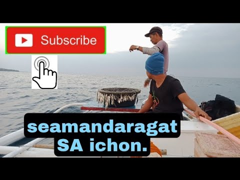 isdang mahaba na Kung tawagin ay lahing or ubod.. - YouTube