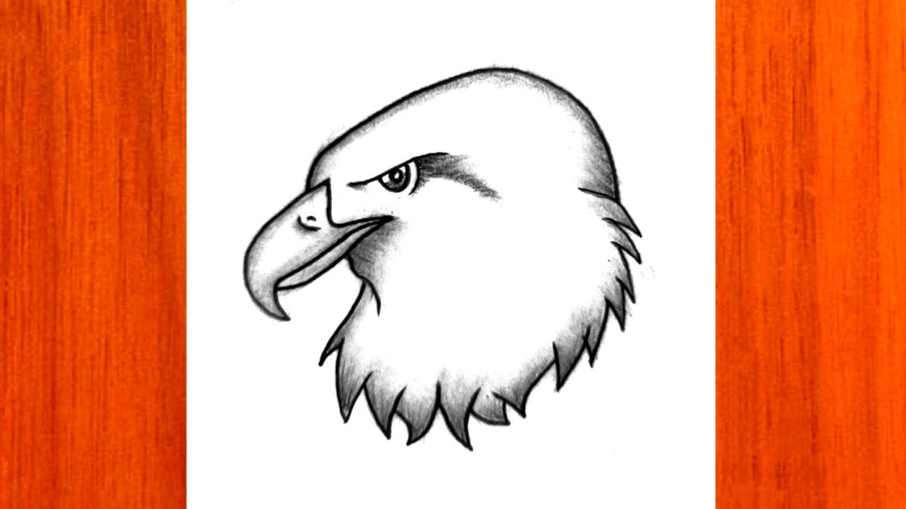 Easy Pencil Drawing of an Eagle 🦅 || How to draw an eagle face step by ...
