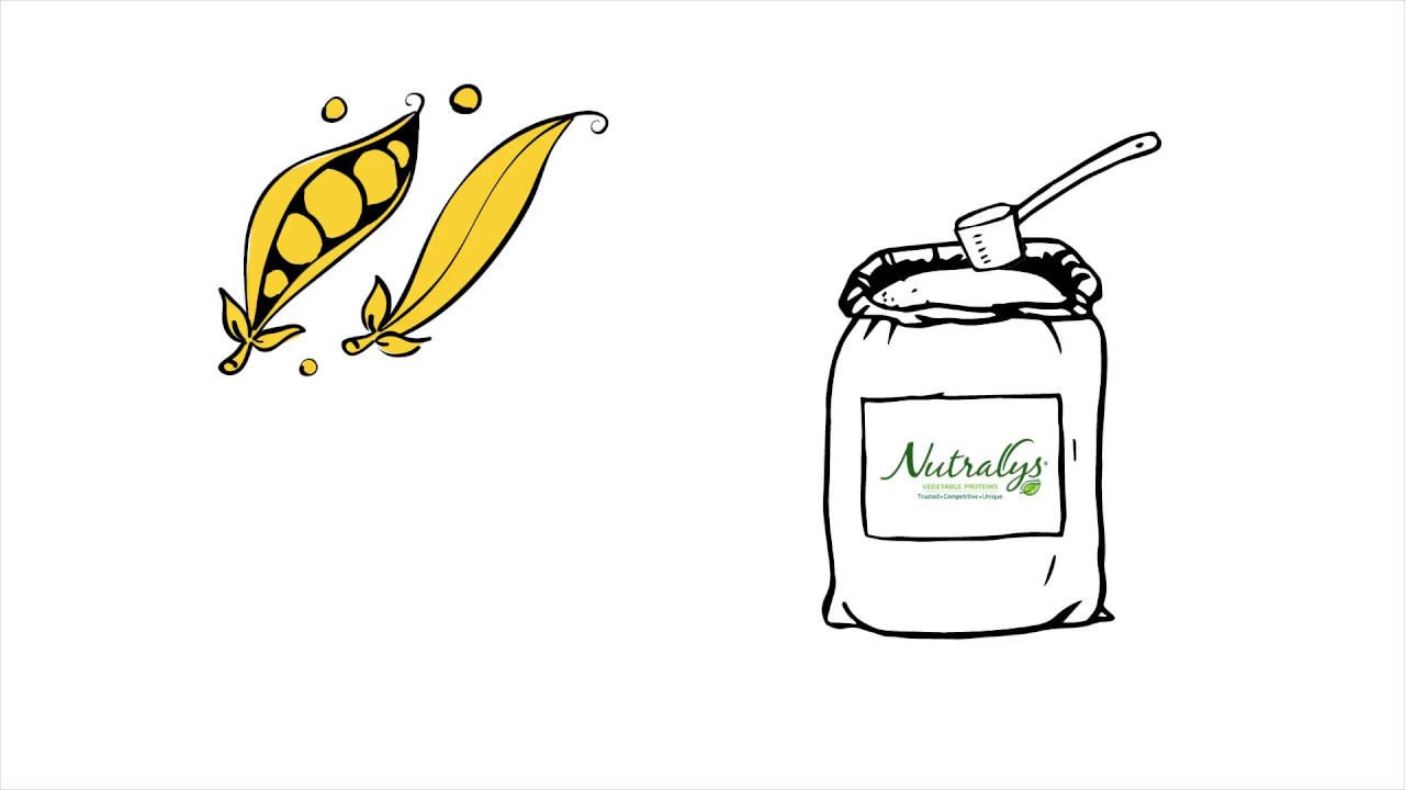 The NUTRALYS® PEA PROTEIN story - YouTube