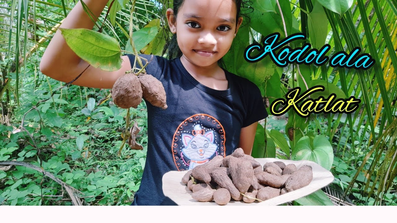 කොඩොල් කට්ලට්/kodol ala/traditional food /village life /natural girl ...