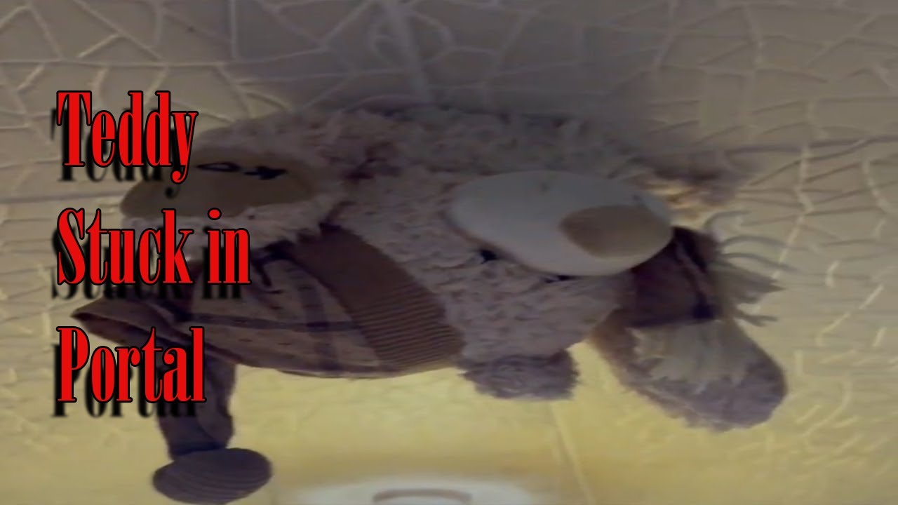 Teddy stuck halfway through Portal!! - YouTube
