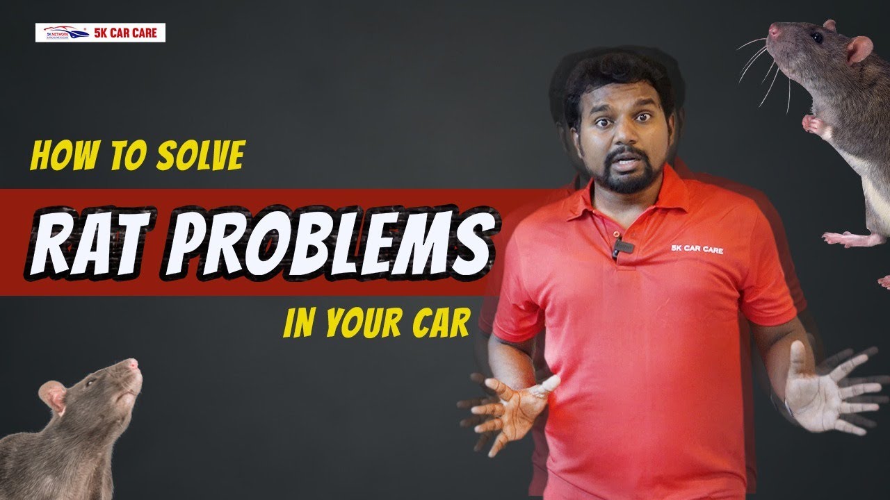 How to protect cars from rats | Rat Repellent | Best ways to keep Rats ...