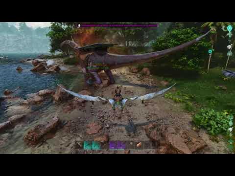 ARK Survival Ascended - Rhyniognatha taming - YouTube