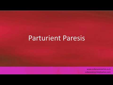 Pronunciation of the word(s) "Parturient Paresis". - YouTube