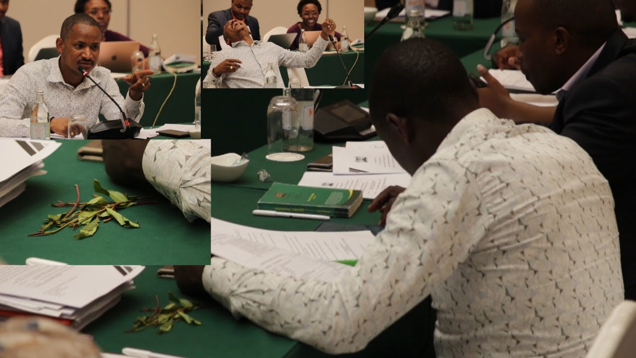CHEWING MIRAA IN A COMMITTEE MEETING? MP BABU OWINO LAUGHTER MOMENT AS ...