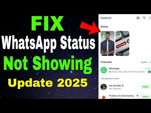 How to Fix WhatsApp Status Not Showing | WhatsApp status not showing ...