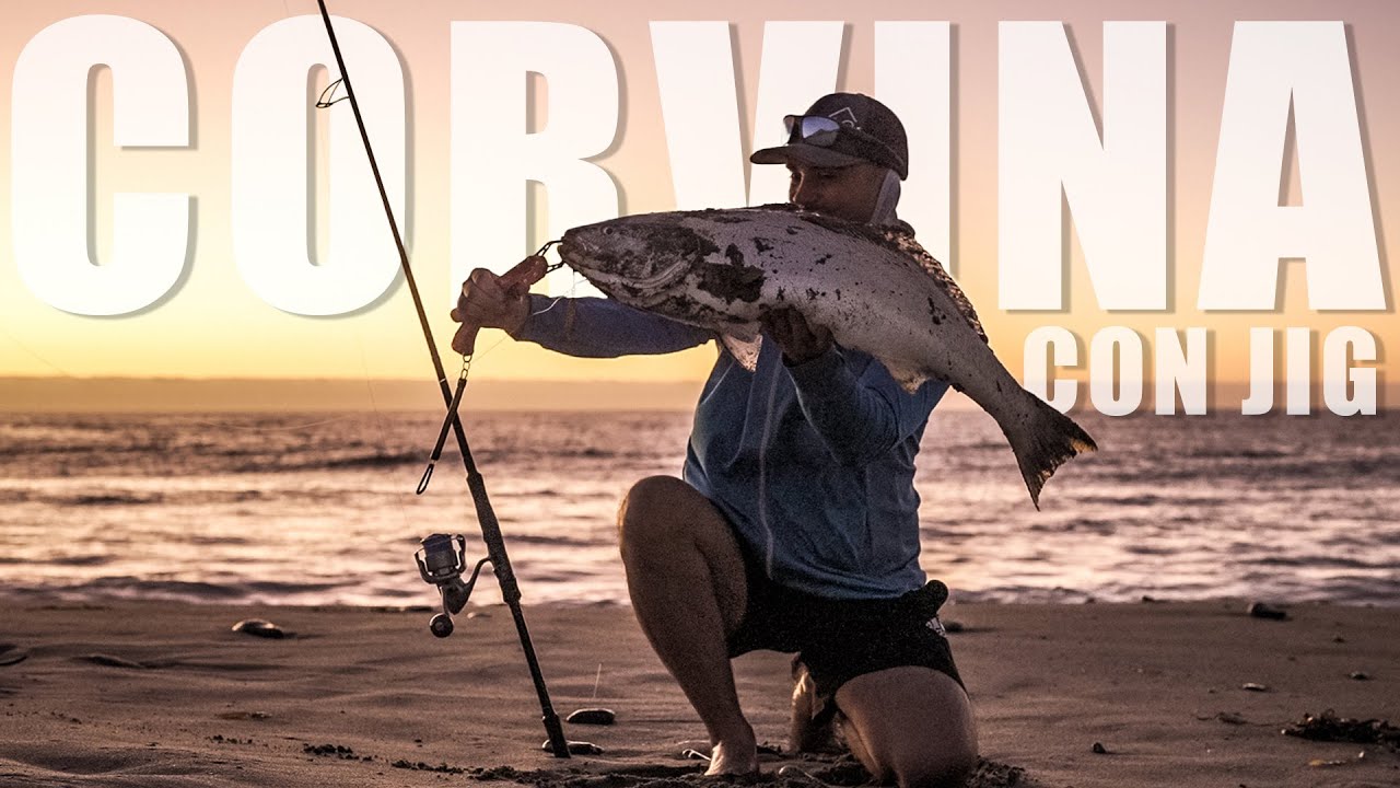 Pesca de CORVINA con JIG - 5.5 KG !! - YouTube