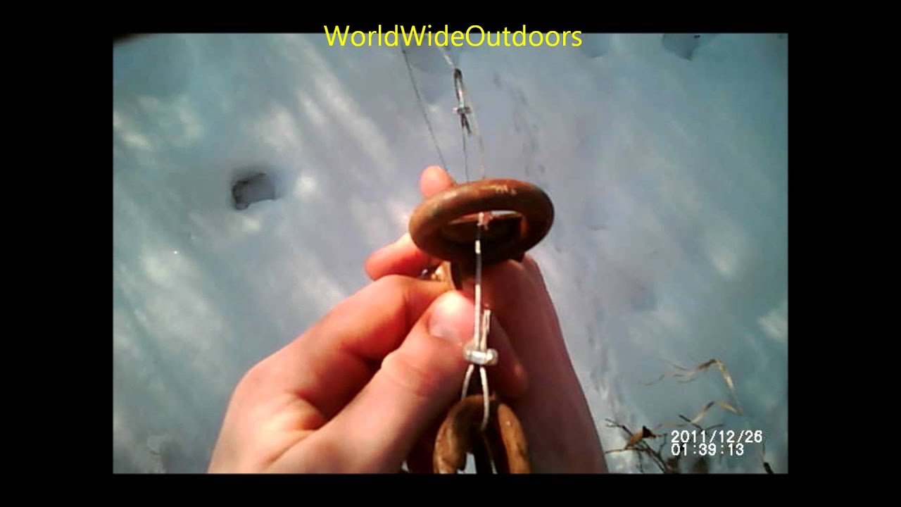 Power Snare Set For Coyote - YouTube