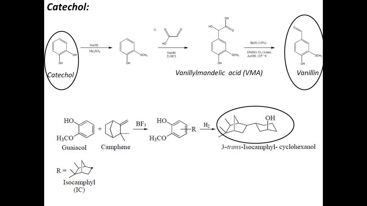green synthesis of catechol - YouTube