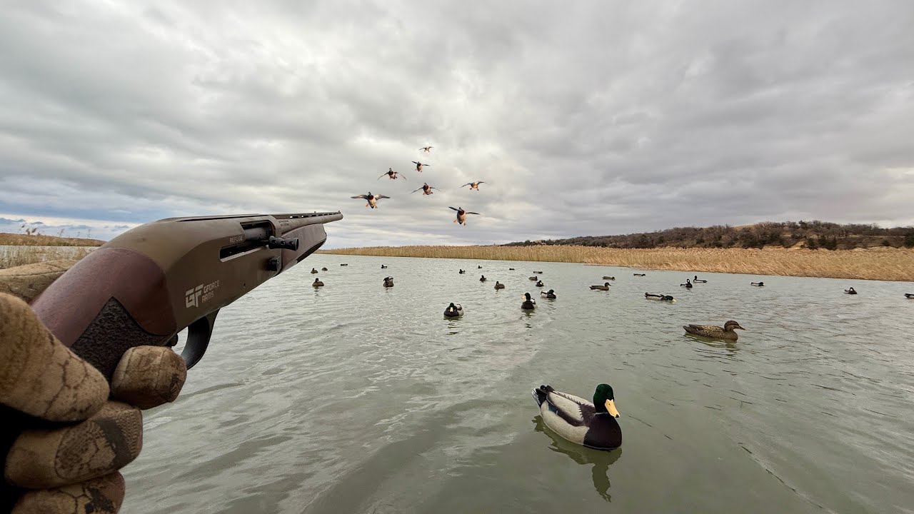 Public Land Solo Duck Hunting the River! (Catch and Cook) - YouTube