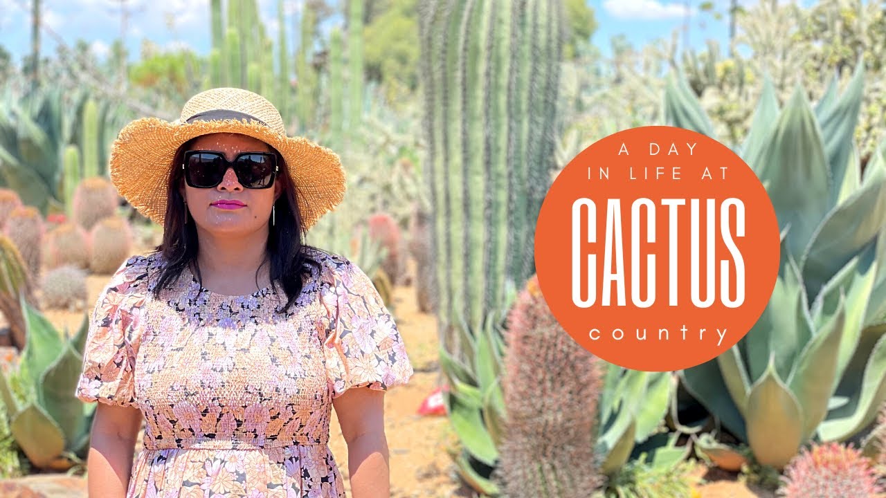 Cactus Country – AUSTRALIA'S LARGEST CACTUS FARM | All You Need to Know ...