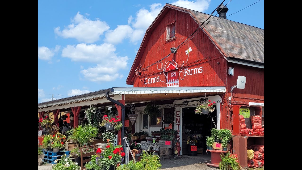 Carma Farms #ontario #canada #2024 - YouTube