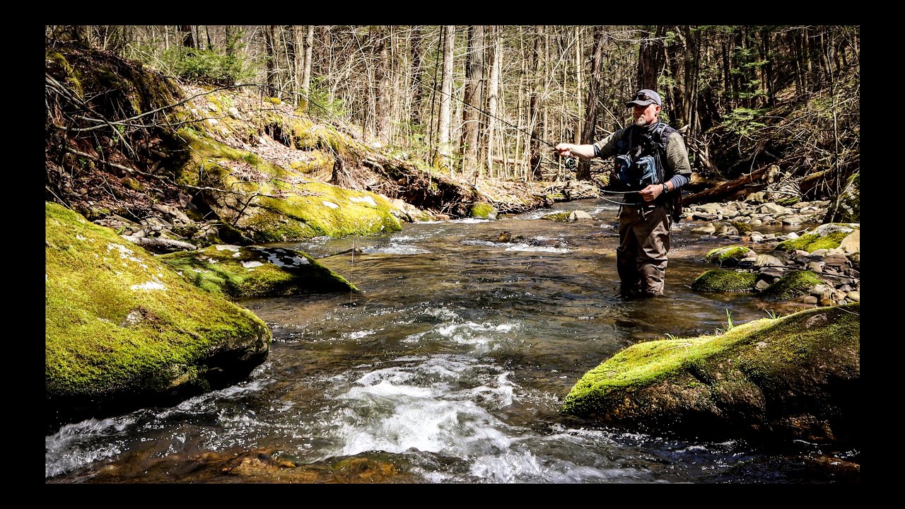 Pennsylvania CLASS A Wild Brook Trout Stream (An Amazing Spring Day Fly ...