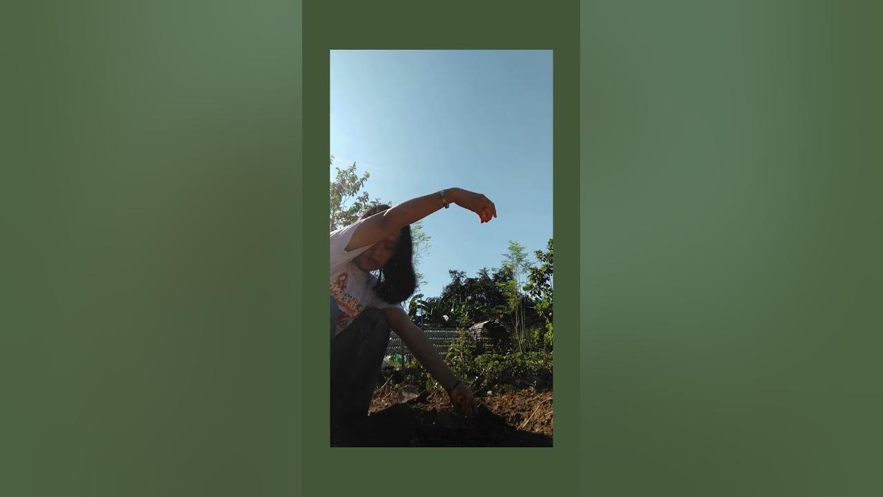OR2 TREE PLANTING DANIELA ERIKA LAPINIG SBIE 3H - YouTube