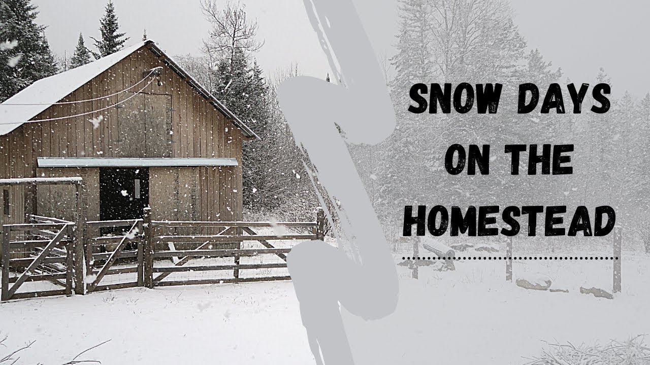 How We Handle Snow Days on The Homestead - YouTube