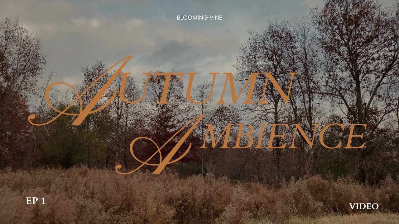 Chilly Autumn Afternoon Ambience - YouTube