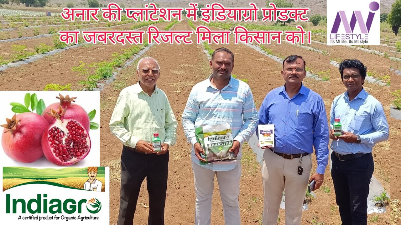 Farmer got tremendous result of Indiagro organic products in ...