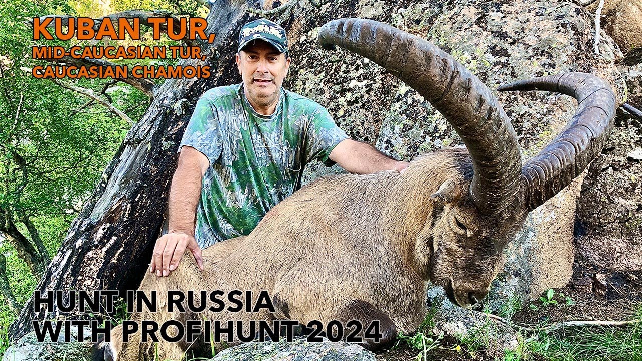 Kuban Tur & Mid Caucasian Tur & Caucasian Chamois hunt in Russia with ...