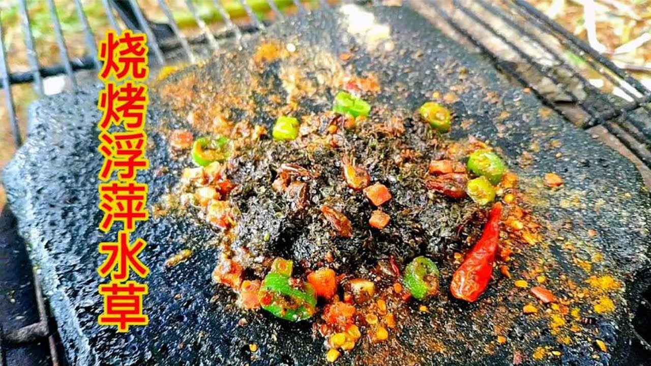 It is a very common duckweed aquatic plant Take a little and bake it on ...