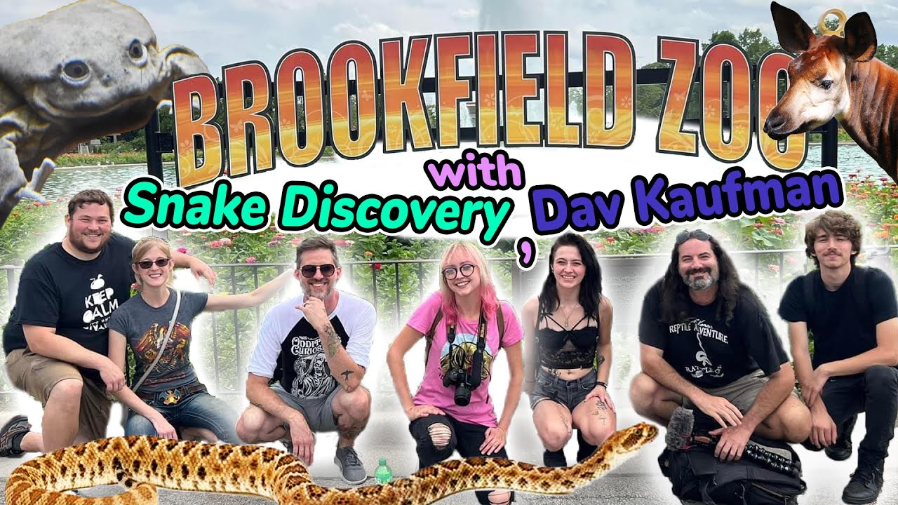 Touring the Brookfield Zoo with @SnakeDiscovery and ...