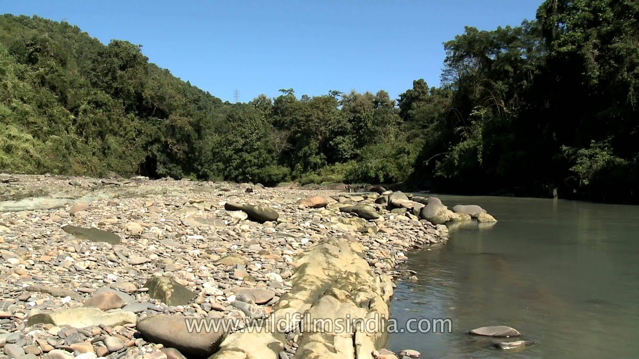 Rocky banks of Doyang river in Nagaland - YouTube
