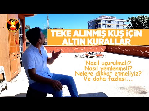 Teke alınmış kuş için altın kurallar / Güvercin ve kuşçuluk