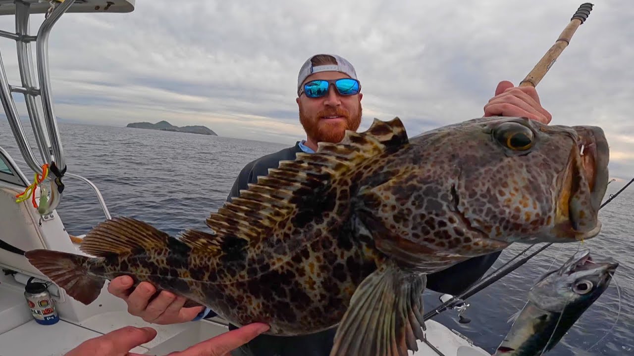 Southern California Fishing - PERSONAL BEST LINGCOD Catch/Clean/Cook at ...