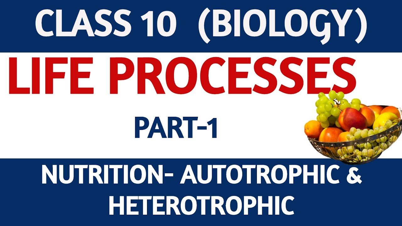 Life Processes | L-1 | Nutrition | Autotrophic & Heterotrophic | Class ...