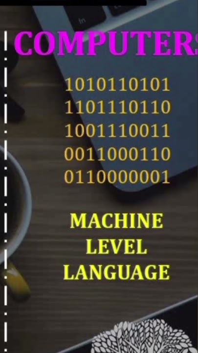 Types Of Programming Language Python Tamilearning Coding Computerlanguage Pythonprogramming