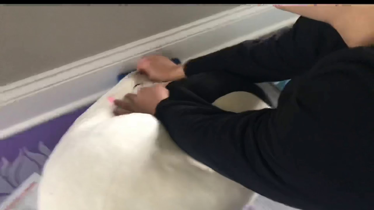 Ep.3 of Callie the Squishmallow Callie working out. - YouTube