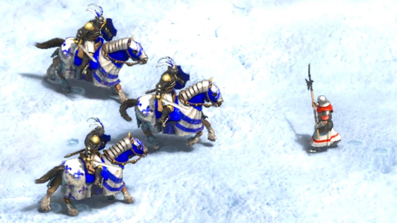 How Many Halberdiers Do You Need to Kill 3 Paladins? | AoE II ...