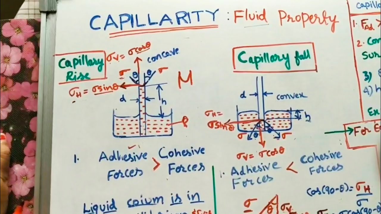 Capillary Effect - YouTube