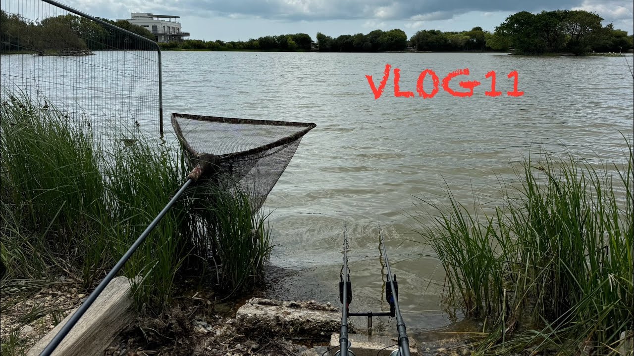 Sinah 40 campaign vlog 11 - YouTube