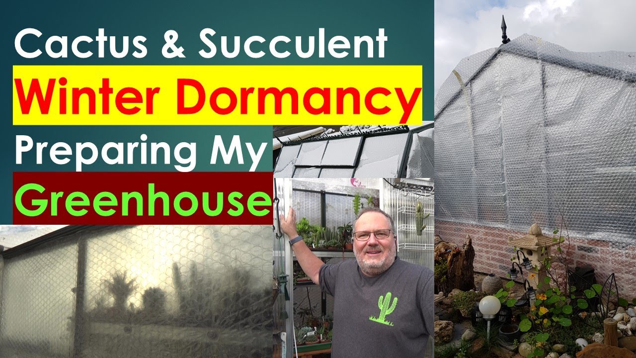 Cactus & Succulent Collection Winter Dormancy | Preparing My Greenhouse ...