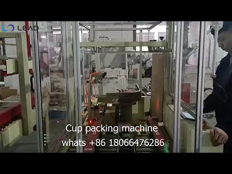 automatic carton loading machine：automatic cups packing - YouTube