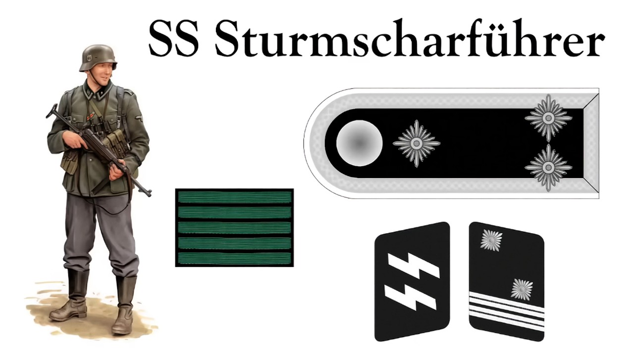 Waffen-SS Ränge und Abzeichen erklärt | Alle Dienstgrade in Reihenfolge ...