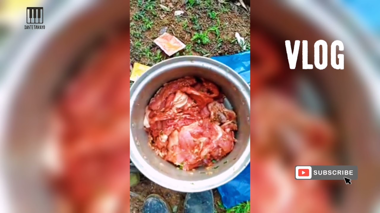 PICURO EL ANIMAL DE LA SELVA PERUANA, CAZANDO PICURO, MAJAS. AUCAYACU ...