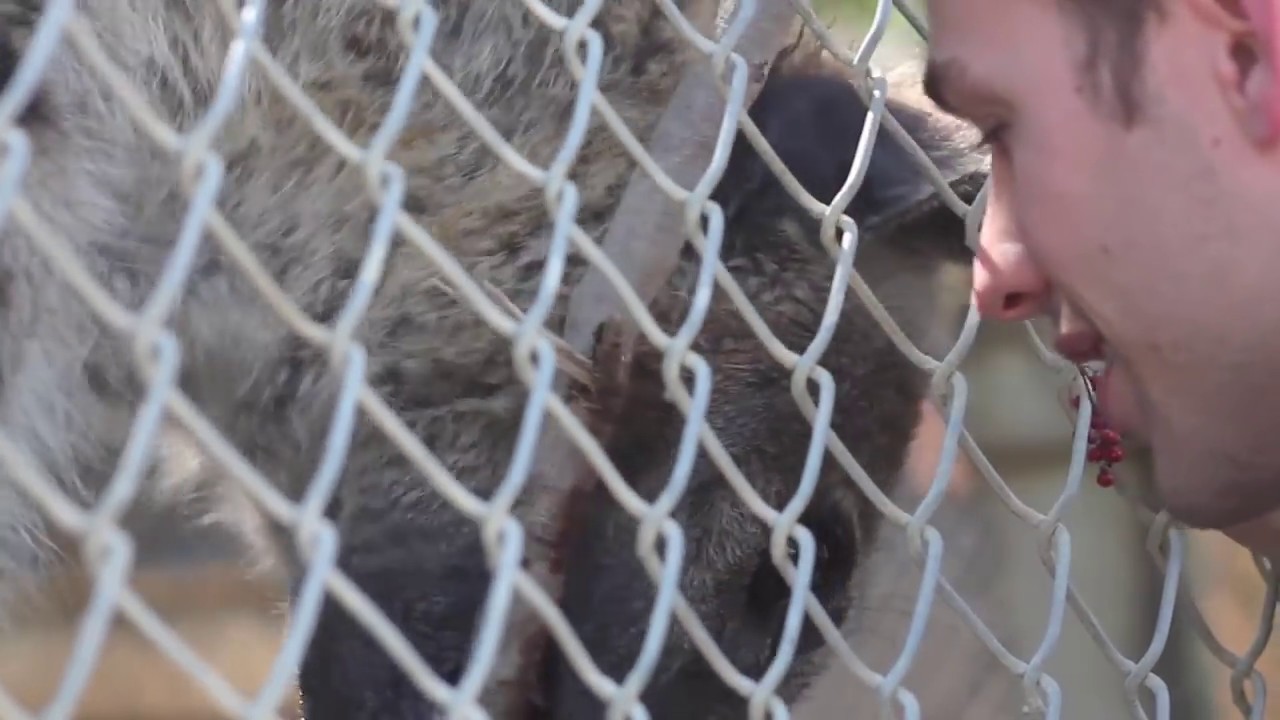 Bryan Hawn & Jake the Hyena - Reunited - YouTube