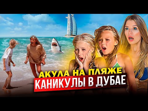 КАНИКУЛЫ в ДУБАЕ ! АКУЛА на ПЛЯЖЕ !