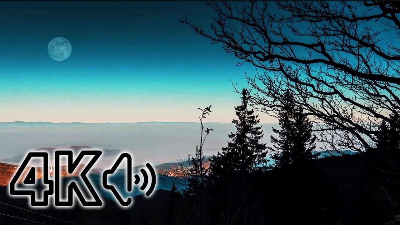 🌑🌑REALISTIC ASMR NIGHT SOUNDS-SUPER REALISTIC SURROUND SOUND FOR SLEEP🌚 ...