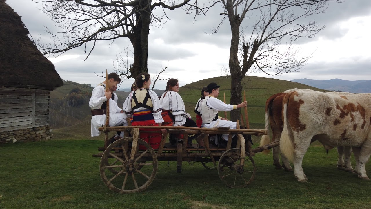 Carul cu boi - Apuseni ! 2 - YouTube