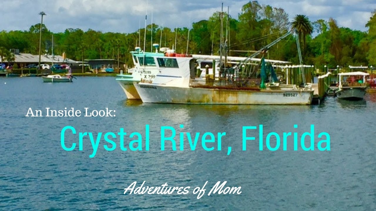 Crystal River, Florida - YouTube