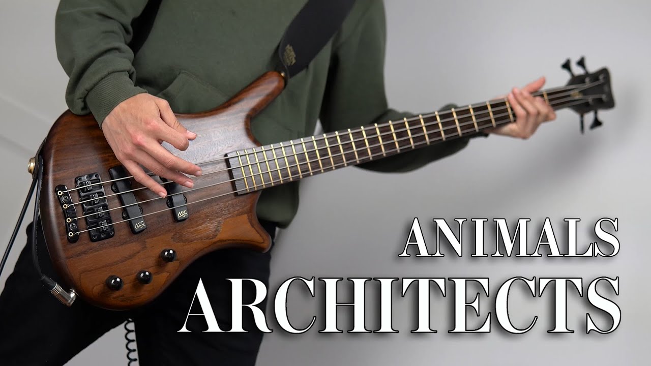 Architects - Animals (Bass Cover) + TAB - YouTube