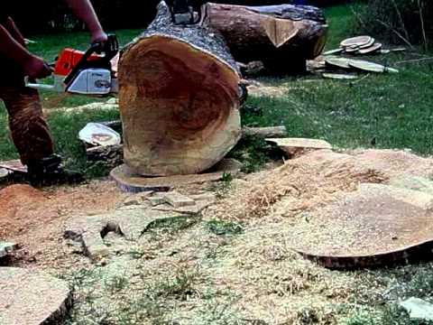 Stump Broke Stihl 036-1.MOV - YouTube