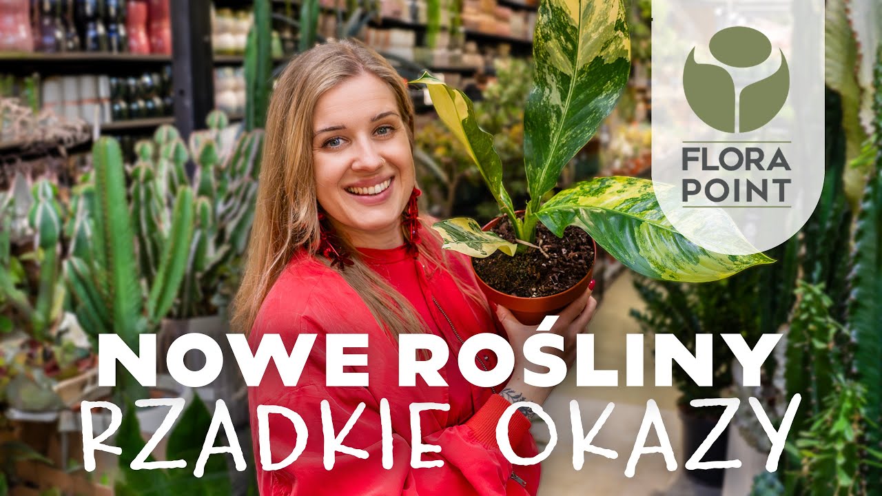 KOLEKCJONERY, jakich nie było | przegląd nowości | Flora Point - YouTube