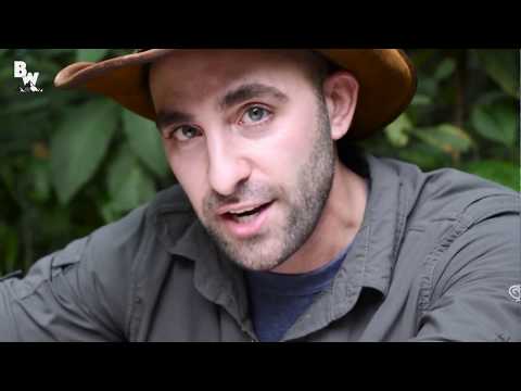 BULLET ANT STING By Coyote Peterson (Brave Wilderness)